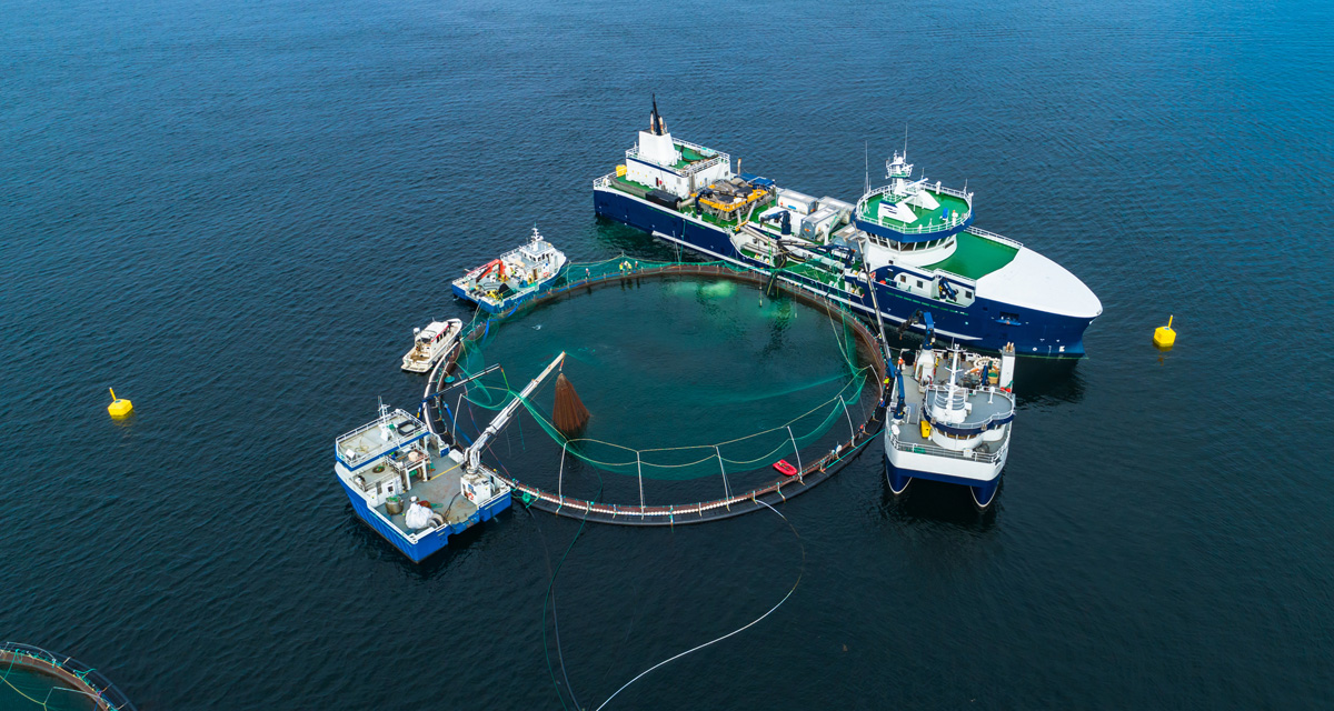 Power quality solution for fish delousing vessels - Comsys